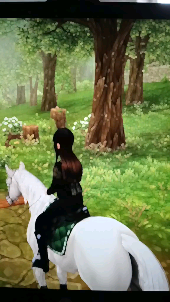 #ssoedit video by holly_ironpath